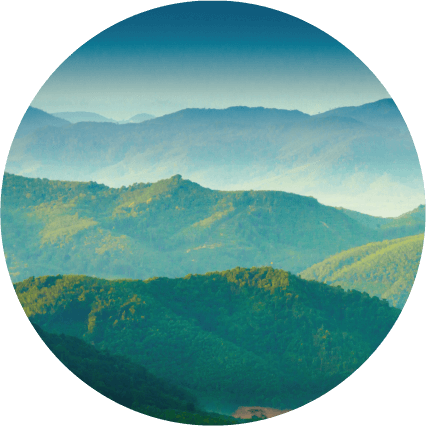 Home | Vanguard Charitable